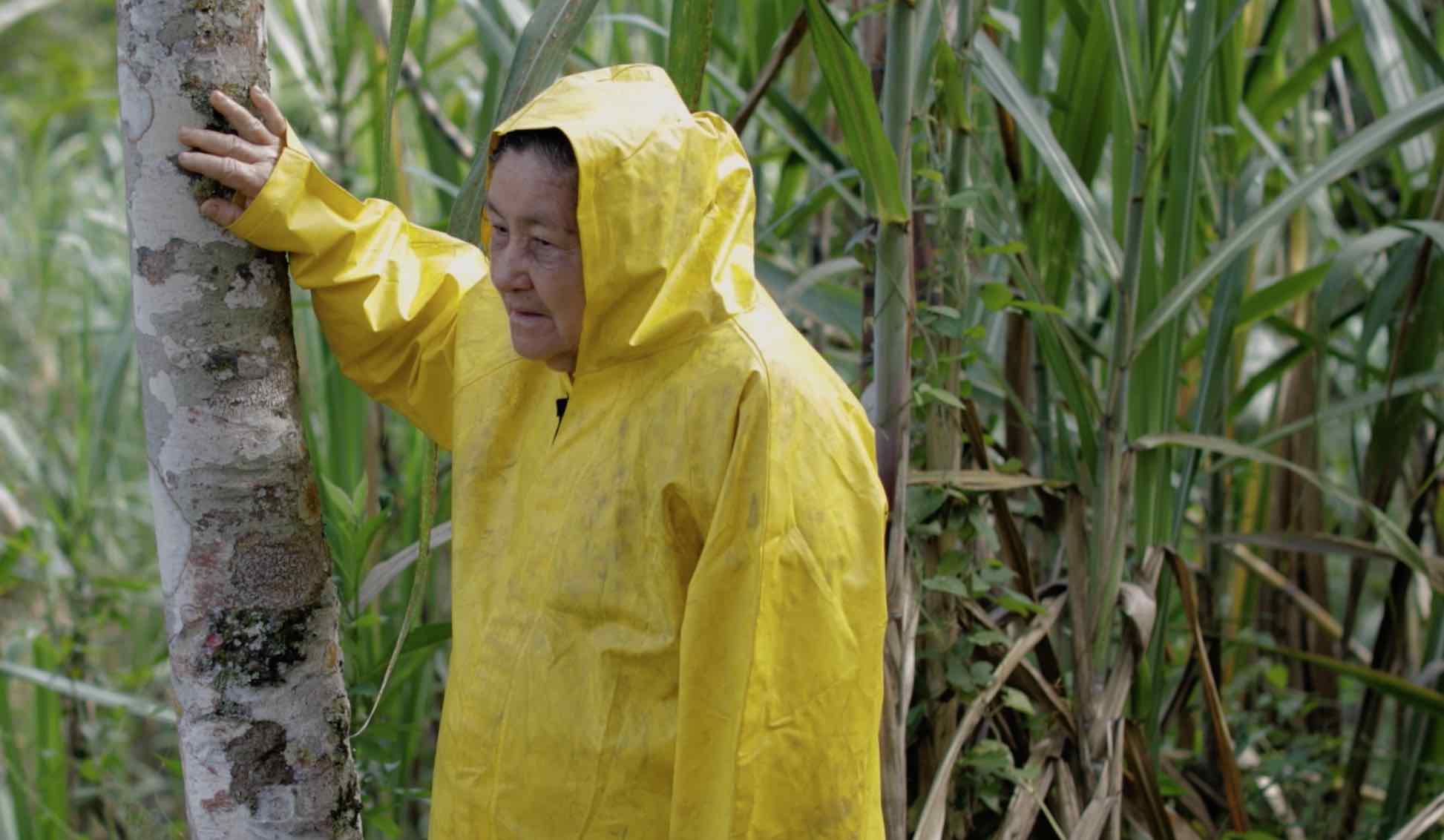 Prometo - Cinescuela